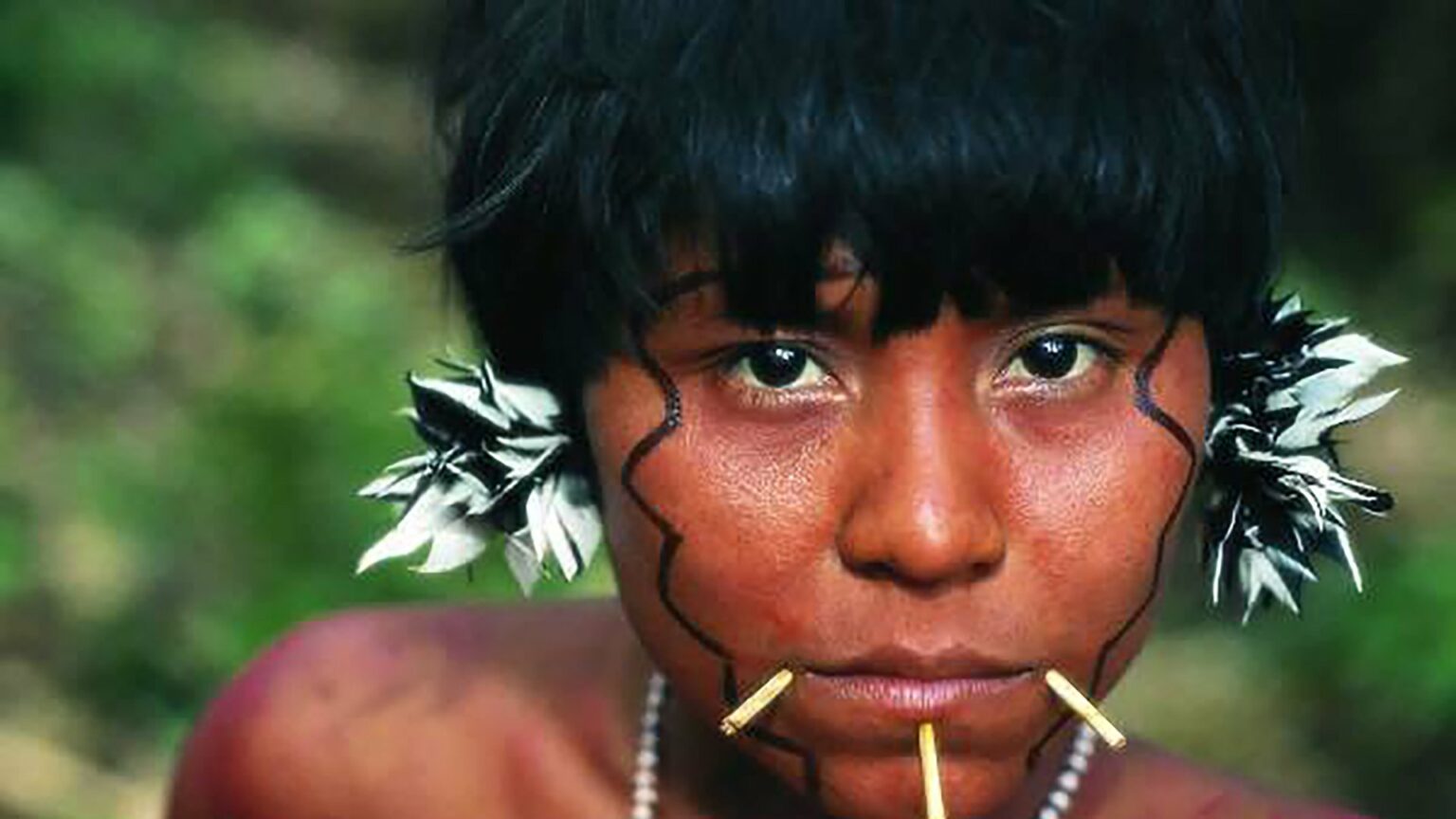 Tradiciones y Costumbres de los Pemones - 2026